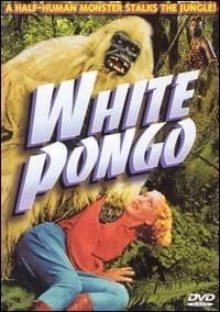 The Best Movies That Are Set In The Democratic Republic of Congo