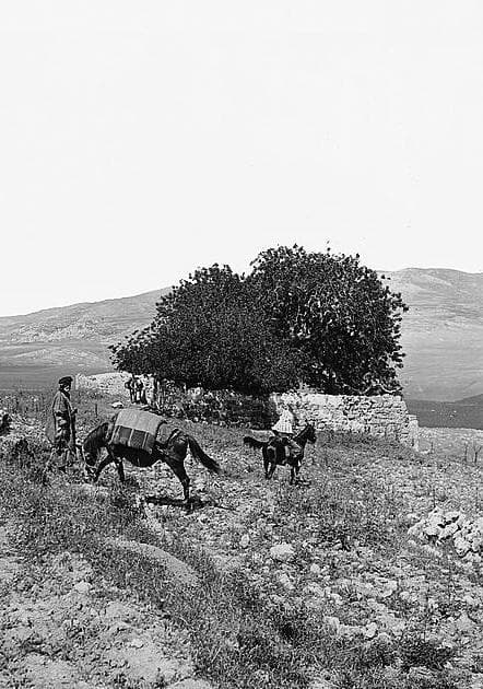 Famous Prophets | List of the Top Well-Known Prophets