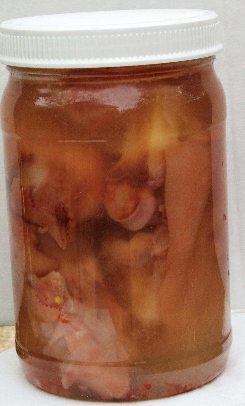 Most Disgusting Meats | List of Gross Meat-Based Foods