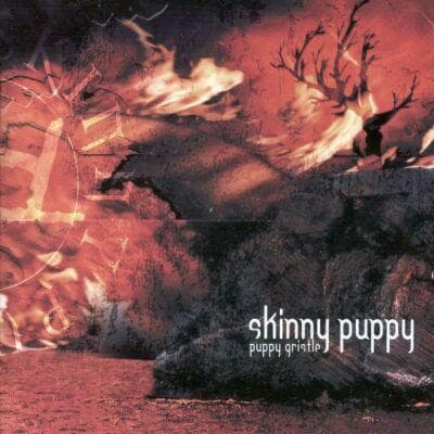 The Best Skinny Puppy Albums, Ranked By Fans