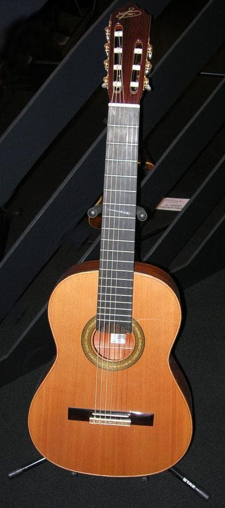 The Guitar: List of Musical Instruments in the Guitar Family