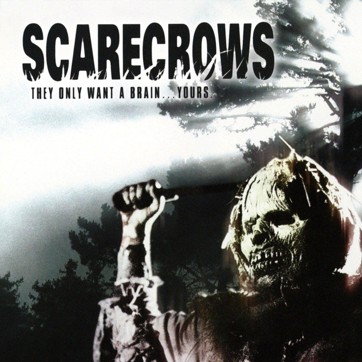 The 19 Best Horror Movies About Scarecrows, Ranked By Fans