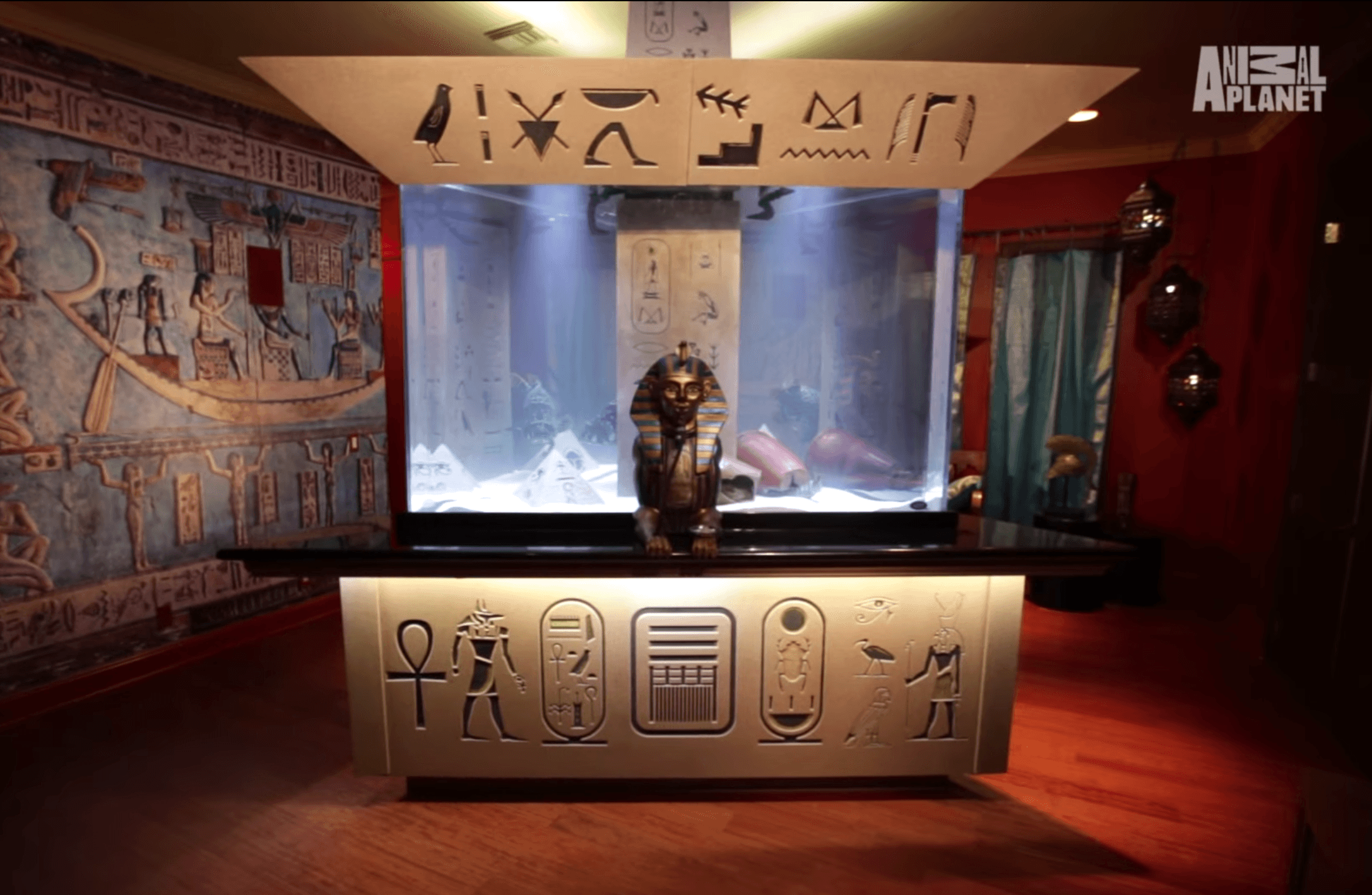 Celebrities with Fish Tanks | Famous People Who Have Aquariums