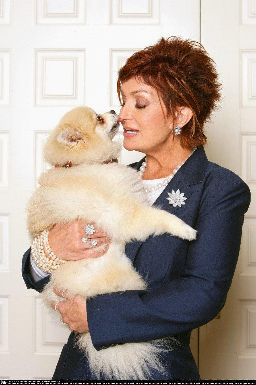 26 Celebrities Who Have a Ton of Pets