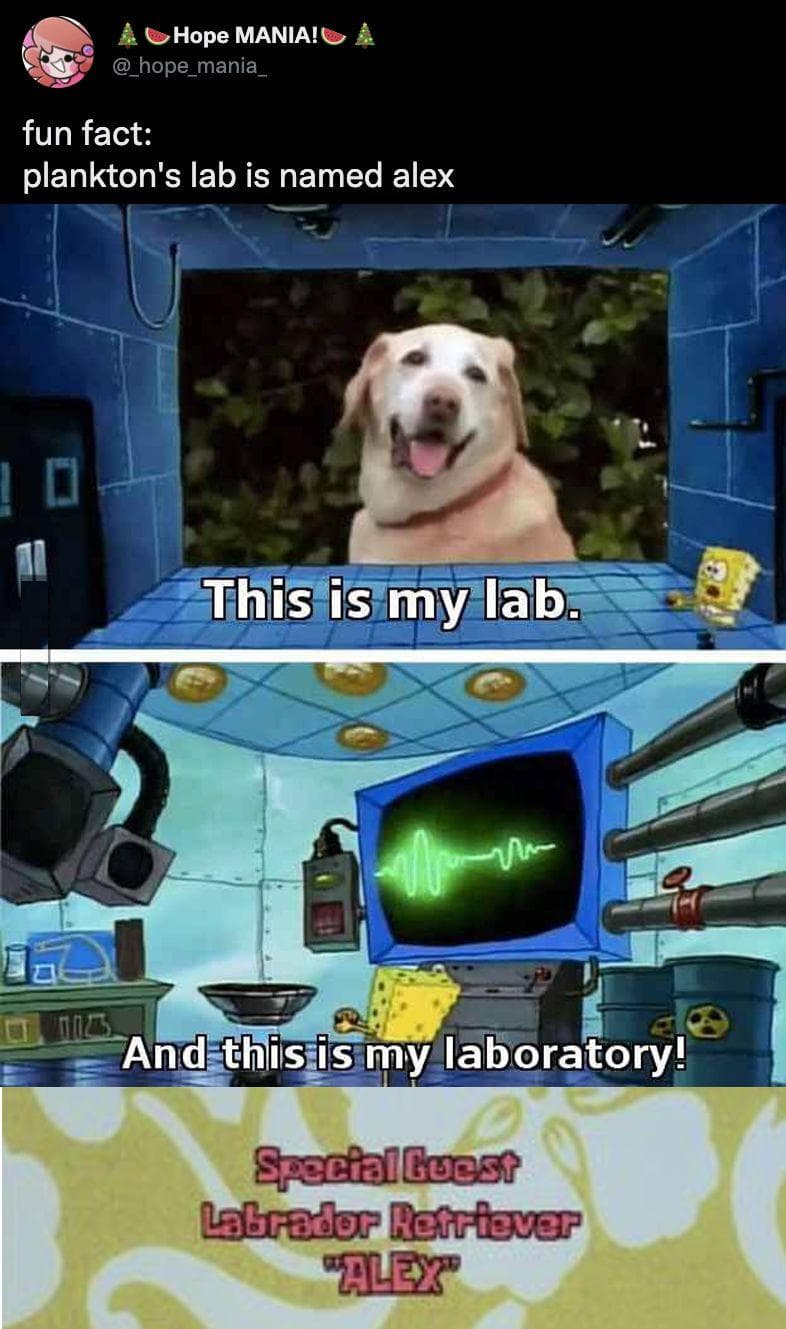 Fans Share Adorable Little Details That Show The Lighter Side Of ...