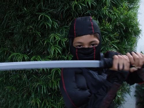 The 175+ Best Martial Arts Actors Ever, Ranked By Fans