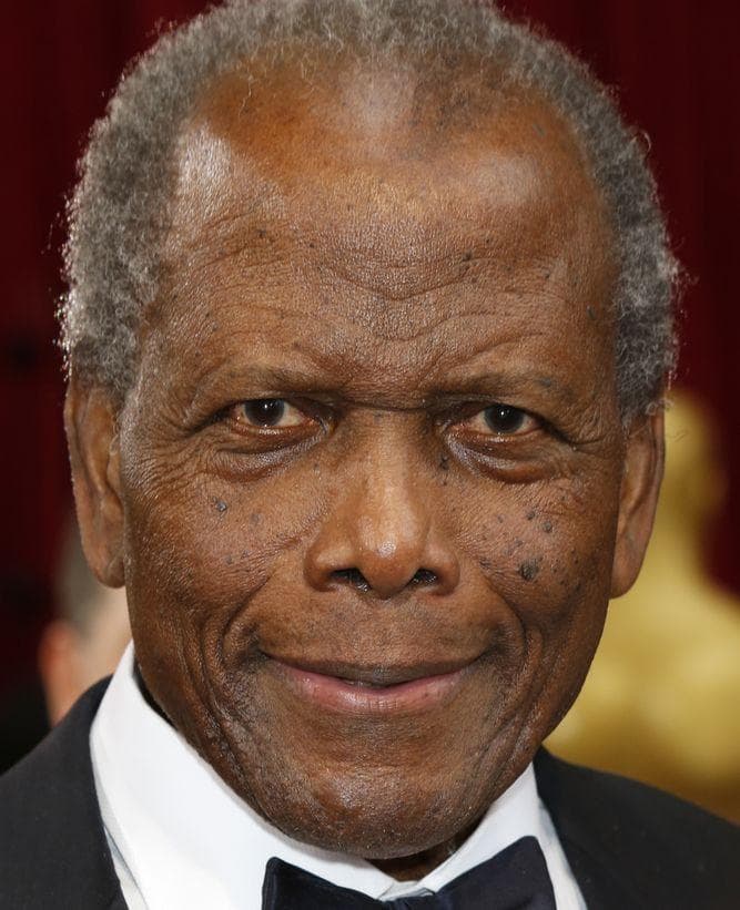 Famous Firsts By Black And African Americans