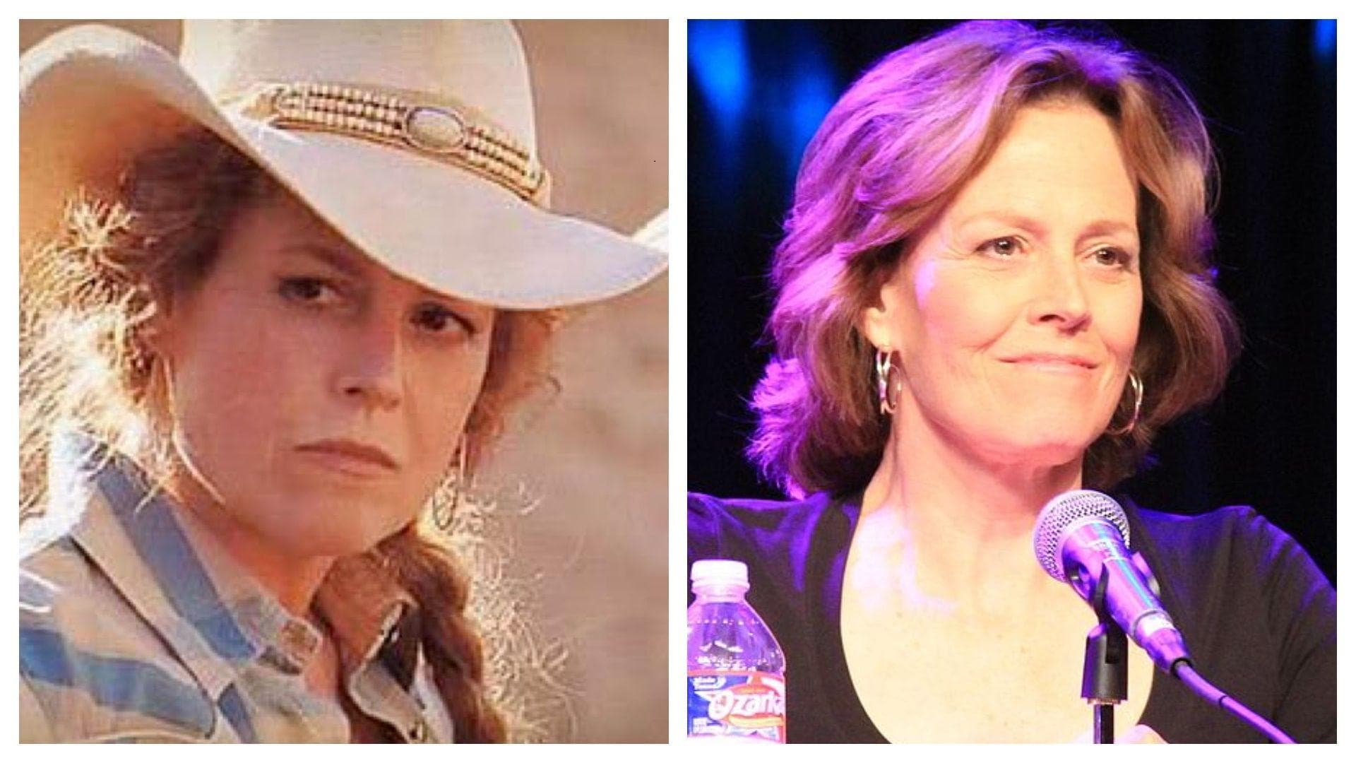 'Holes' Cast: Where Are They Now?