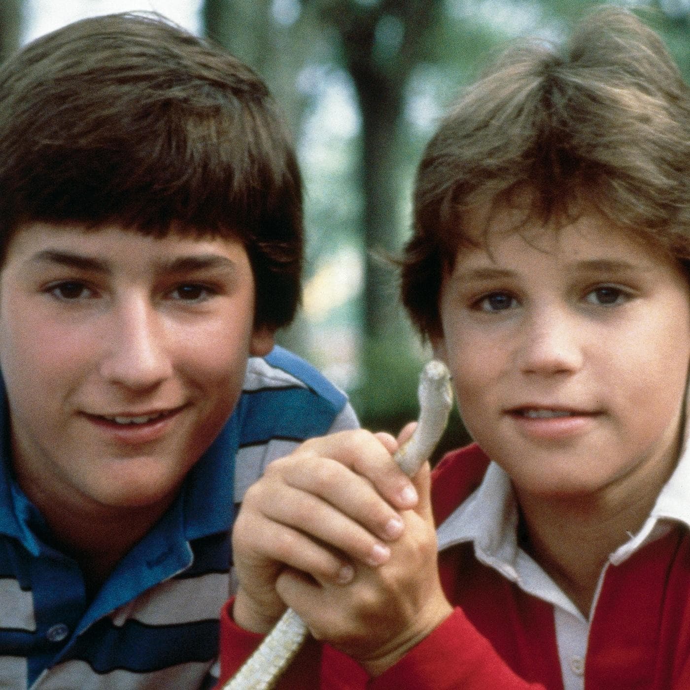 The 12 Best '80s Werewolf Movies Every Horror Fan Should Watch