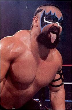 WWF Superstars of Wrestling Cast | List of All WWF Superstars of ...