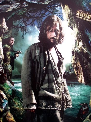 The Best Gryffindor House Members in the Harry Potter Movies