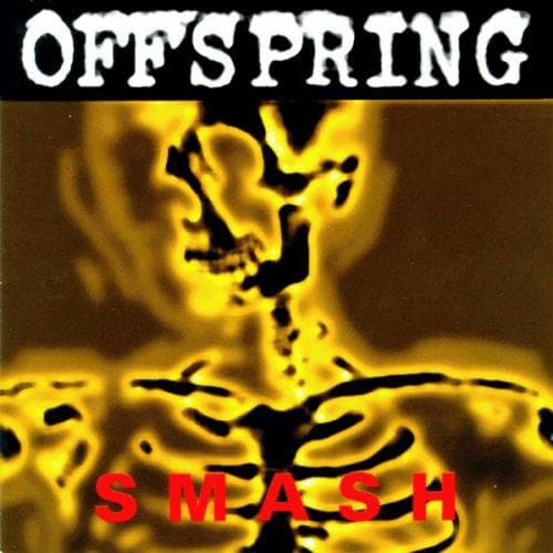 The Best Offspring Albums, Ranked By Fans
