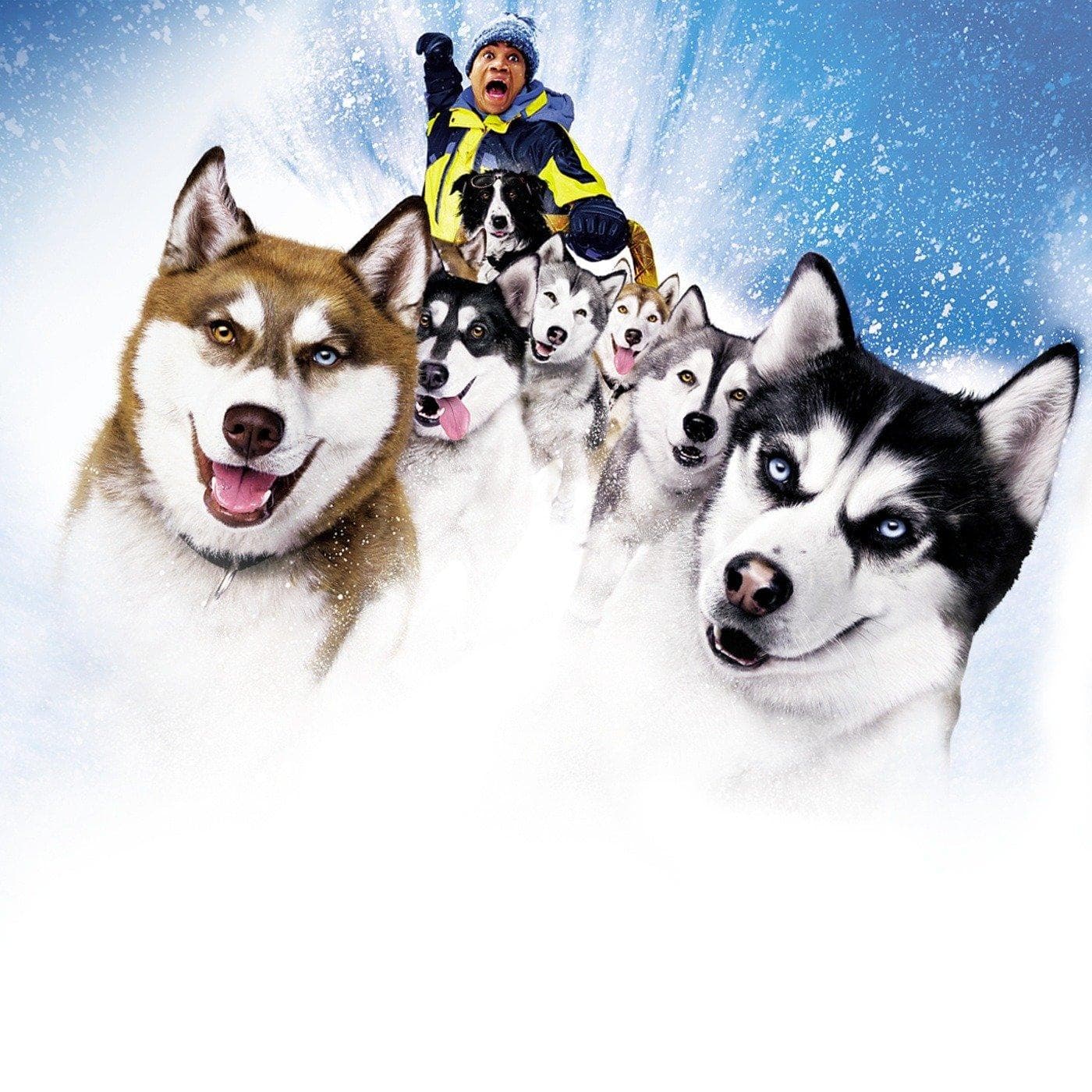 The 40+ Best Movies About Talking Dogs, Ranked By Fans