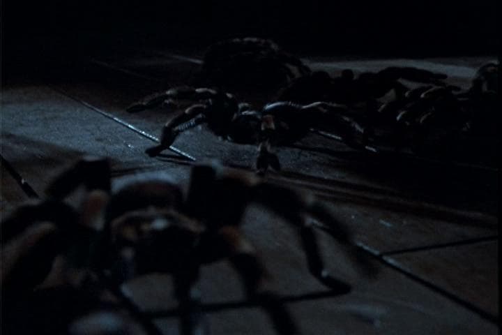 Terrifying Spider Scenes In Movies
