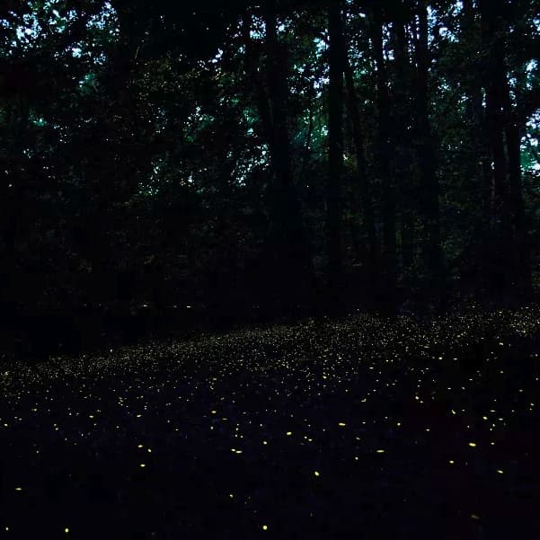 The Most Exhilarating Summer Activities By State