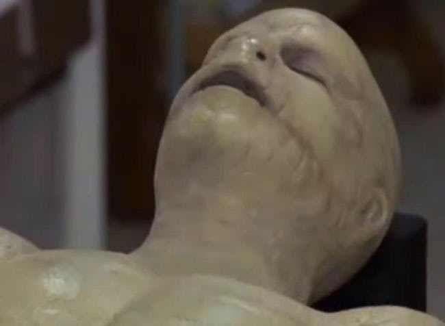 12 Horror Movies With Gnarly People-To-Animal Transformations