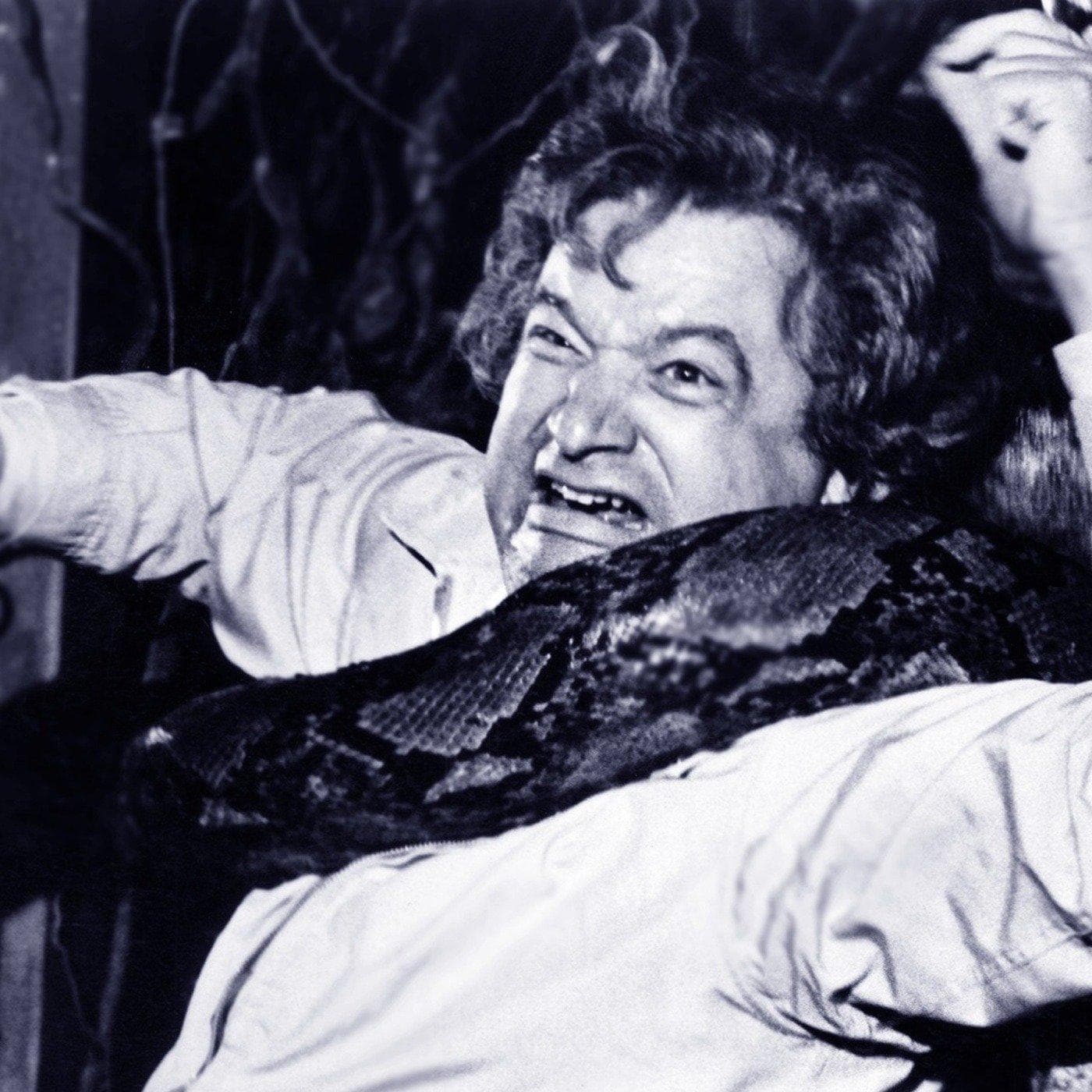 The 25 Best Movies About Snakes, Ranked By Fans