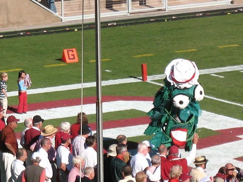 Worst Sports Mascots: List of Ridiculous Creepy Team Mascot Characters