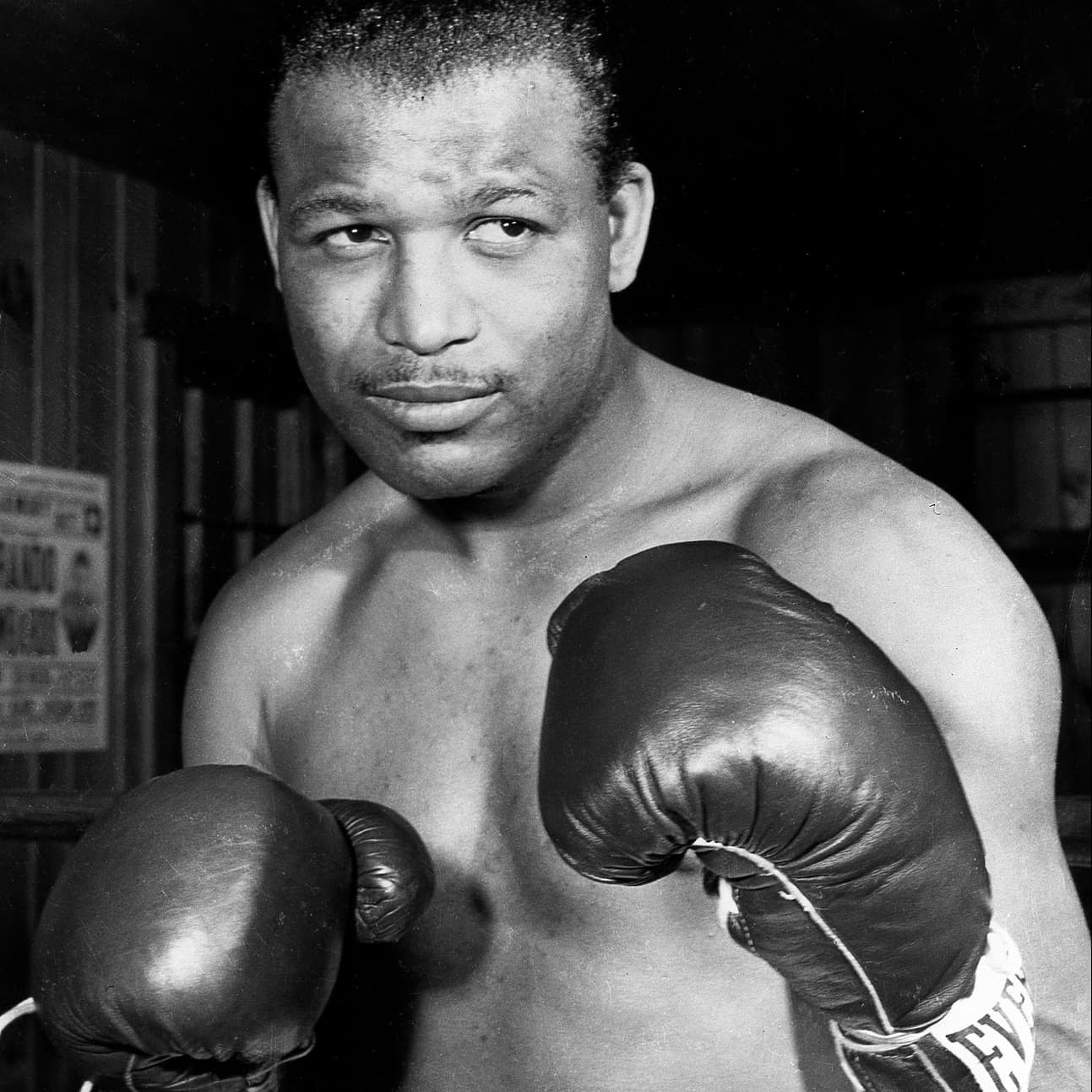 Best 1950s Boxer | List of Top Boxers of the 50s