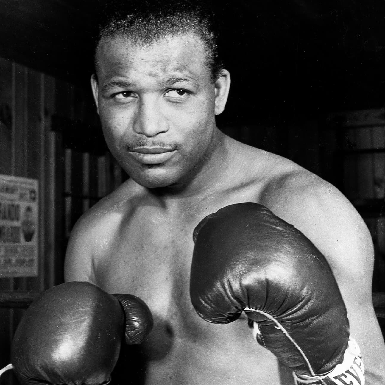 Best 1960s Boxer | List of Top Boxers of the 60s