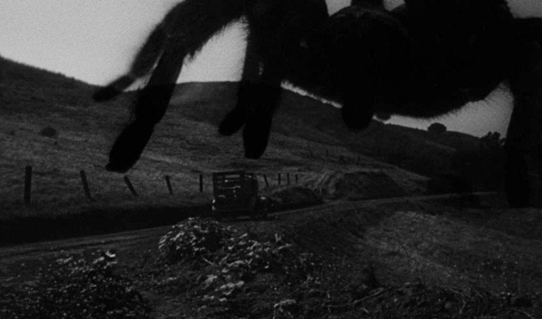 Terrifying Spider Scenes In Movies