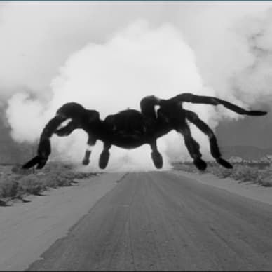 32 Scary Movies With Spiders, Ranked
