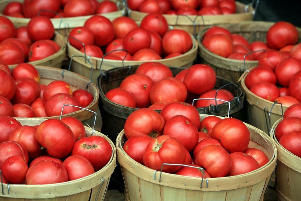 A List Of Every Official US State Fruit