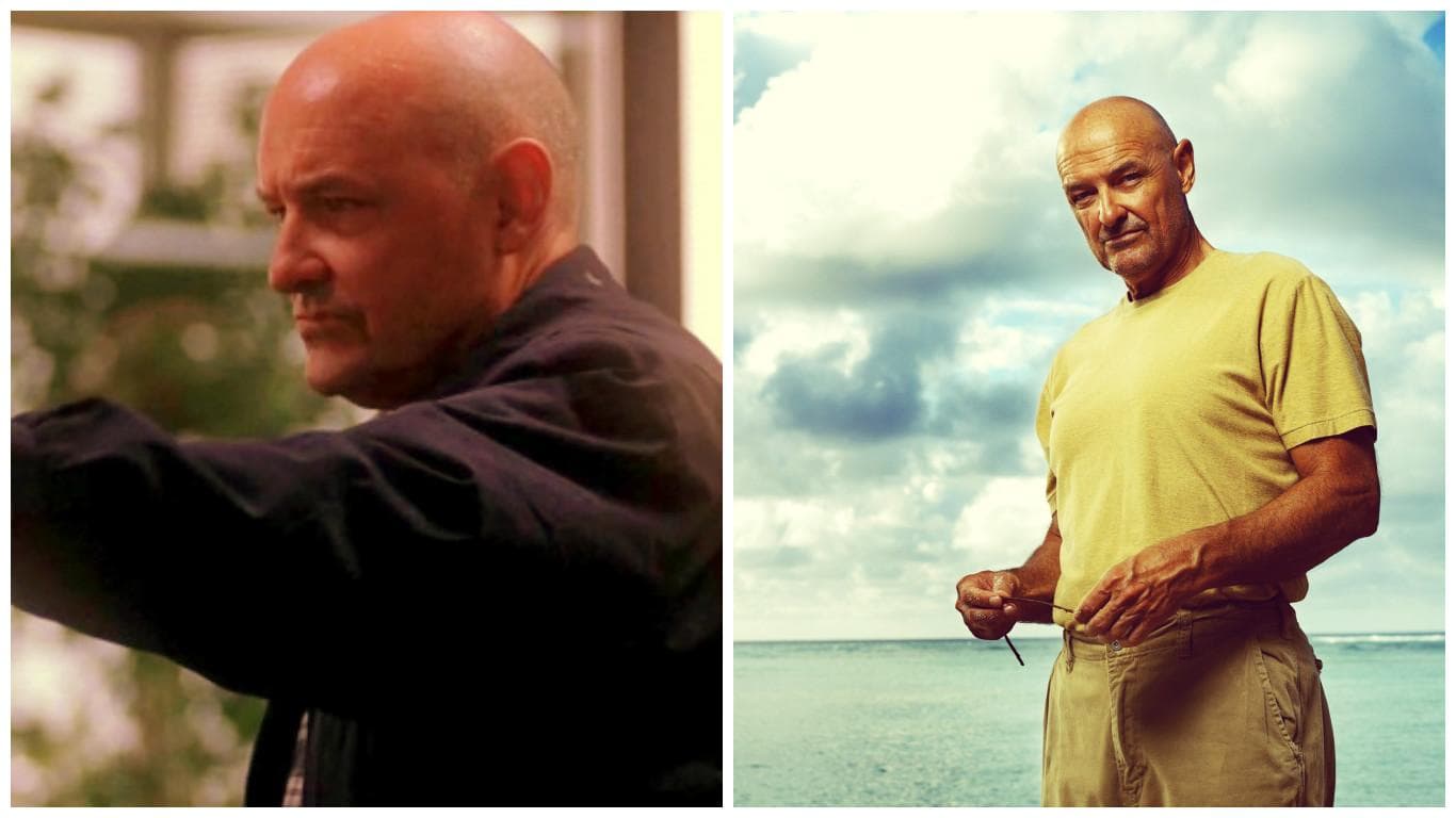 The Greatest Guest Stars on NCIS, Ranked