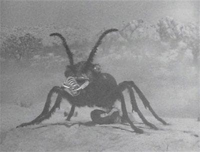 Terrifying Bug Scenes In Movies