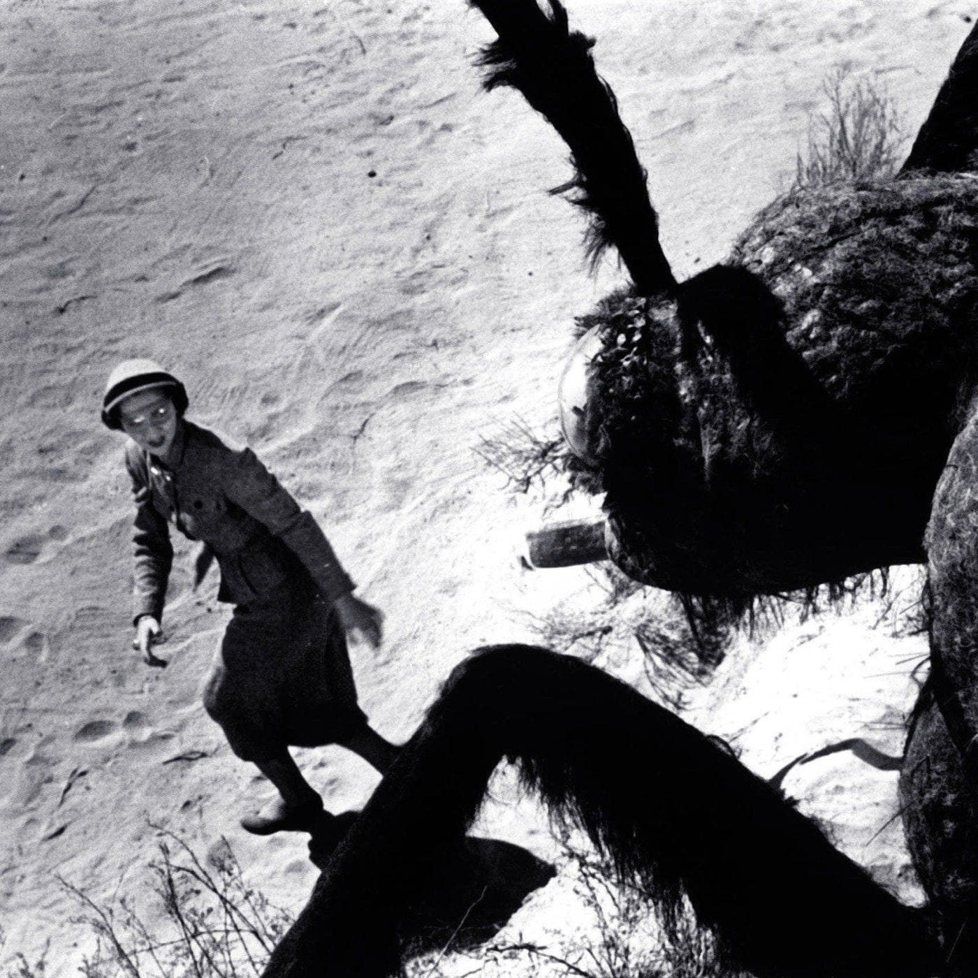 The 25 Best Creature Features