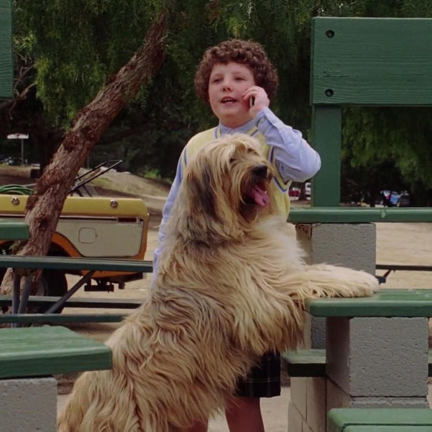 The 10 Best David Spade Movies, Ranked By Fans