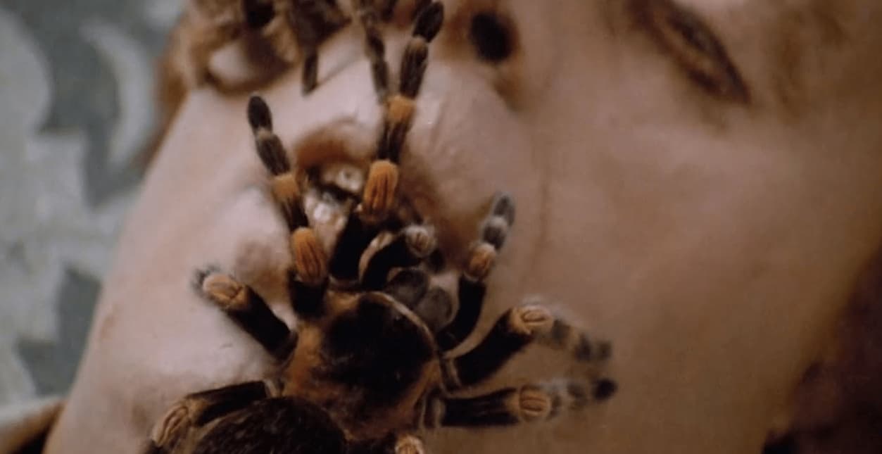 Terrifying Spider Scenes In Movies