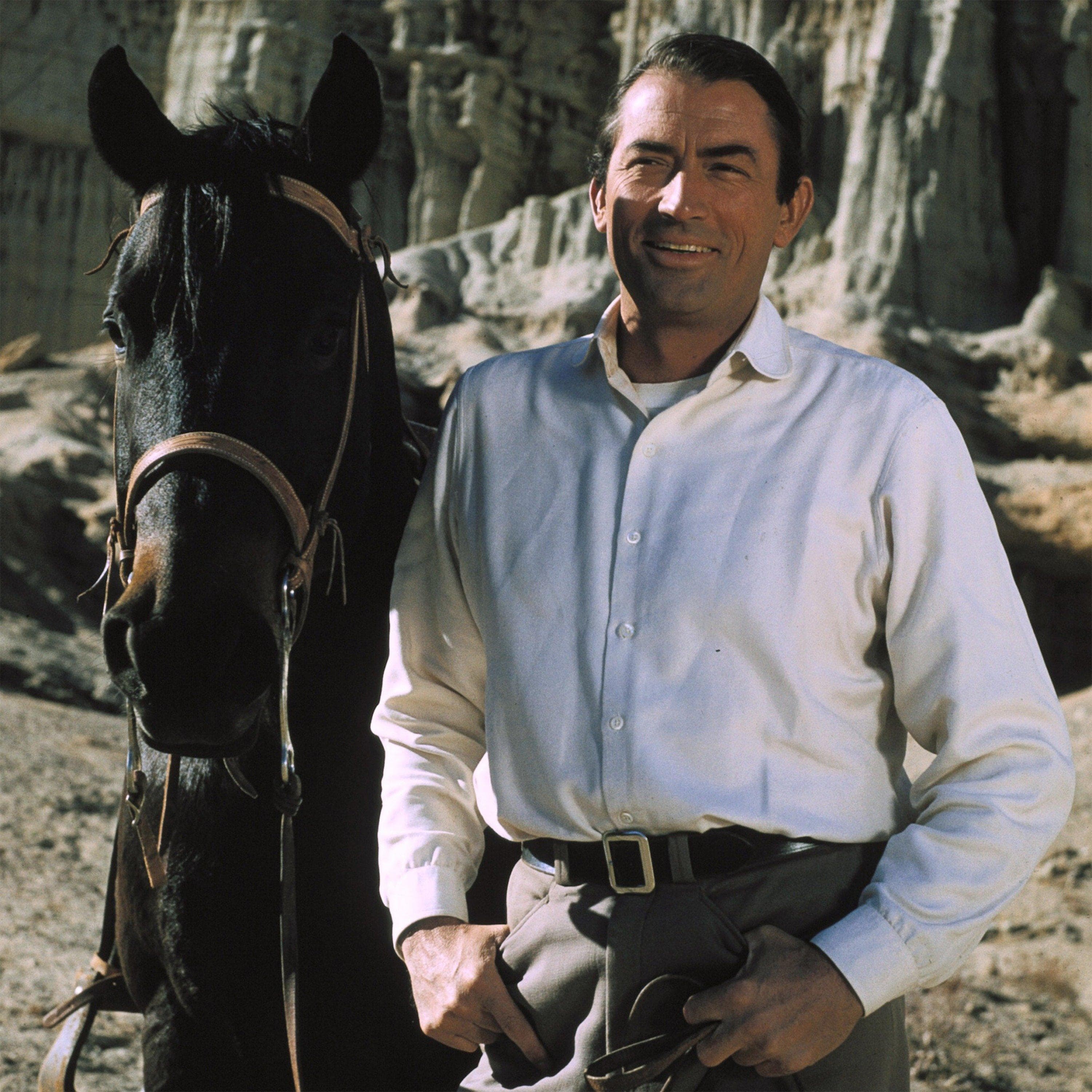 The 20 Best Classic Movies On Tubi, Ranked By Fans