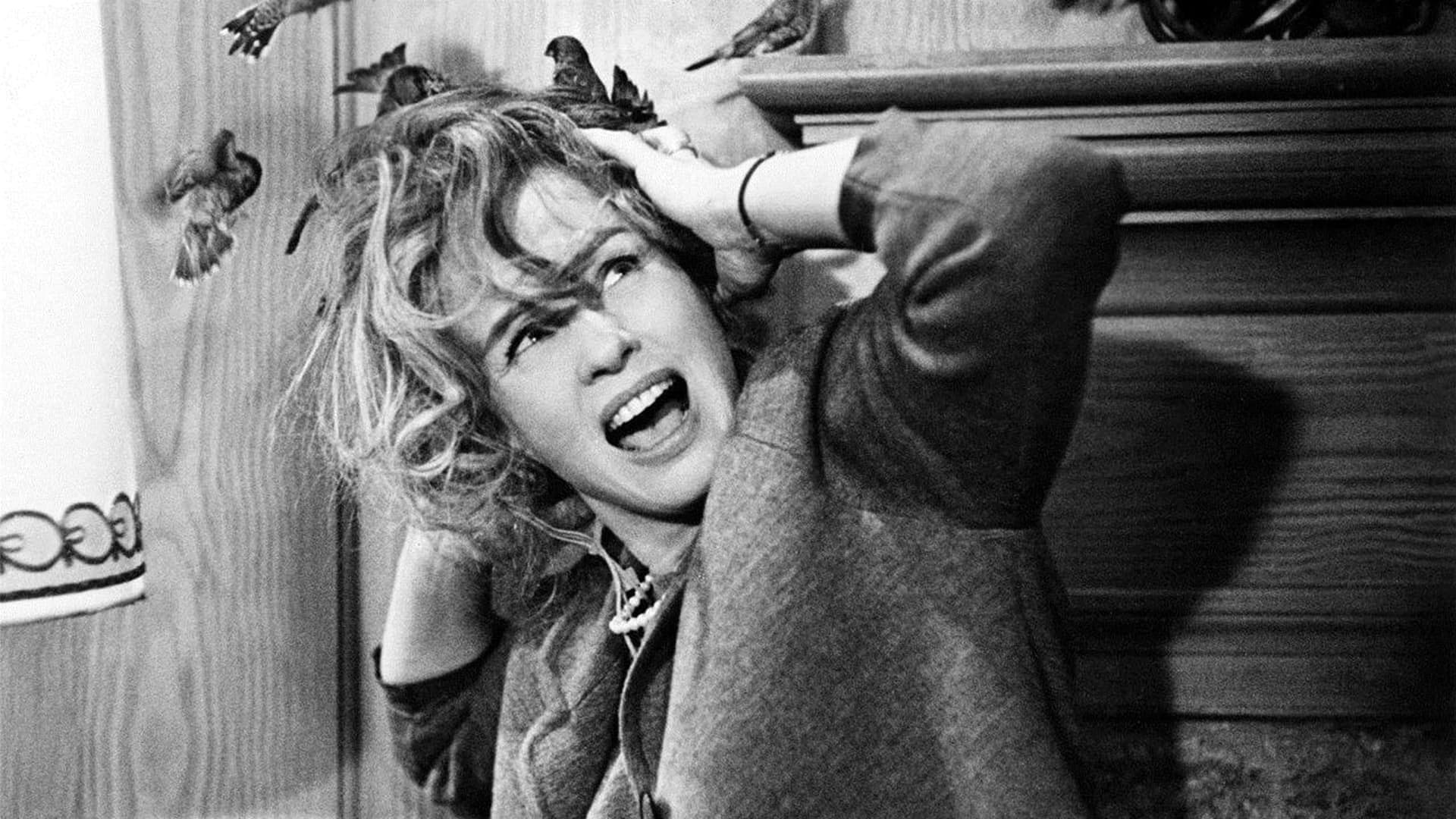 The 20 Best Horror Movies About Birds, Ranked By Fans