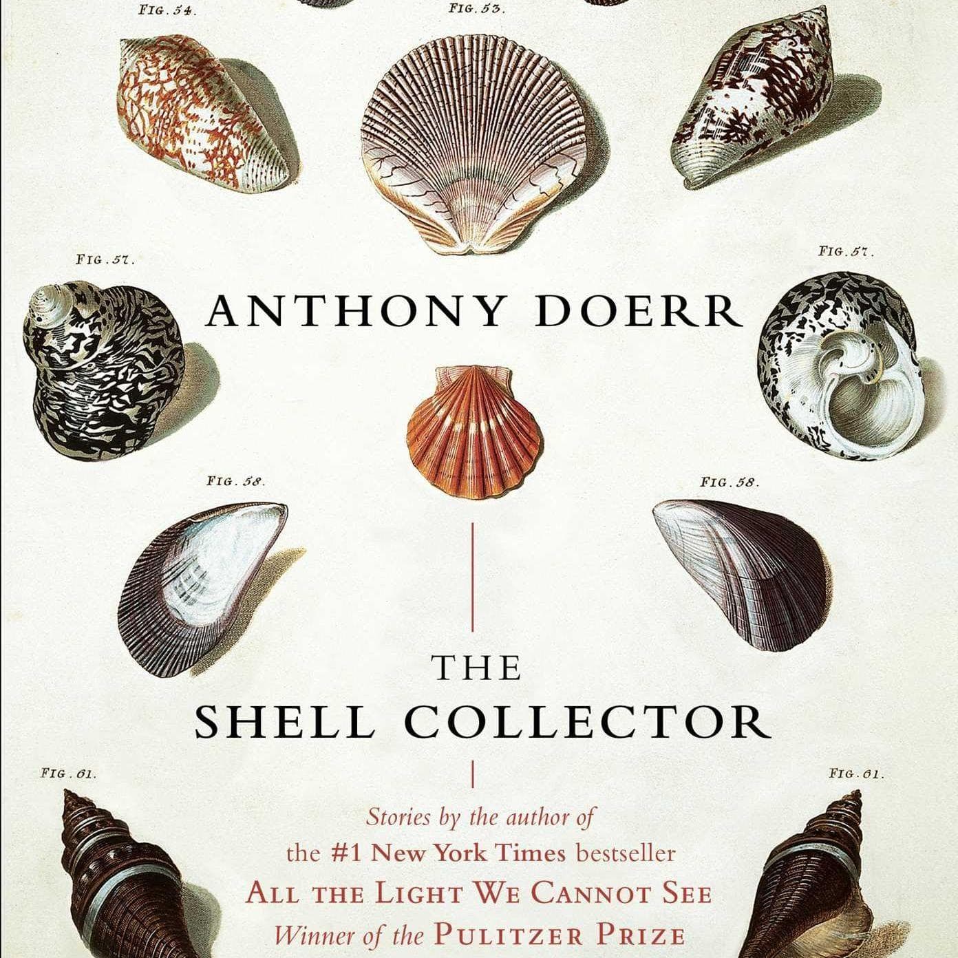 All Anthony Doerr Books, Ranked Best to Worst