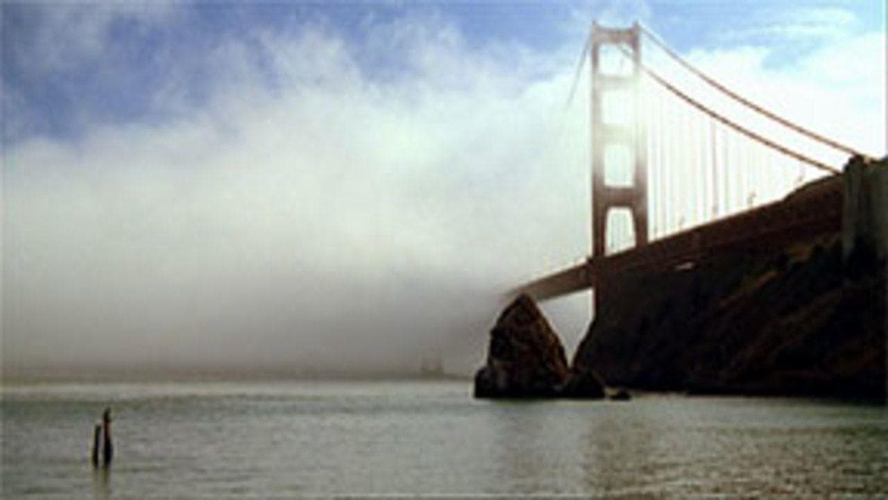 The 15 Most Disturbing Documentaries, Ranked By Fans