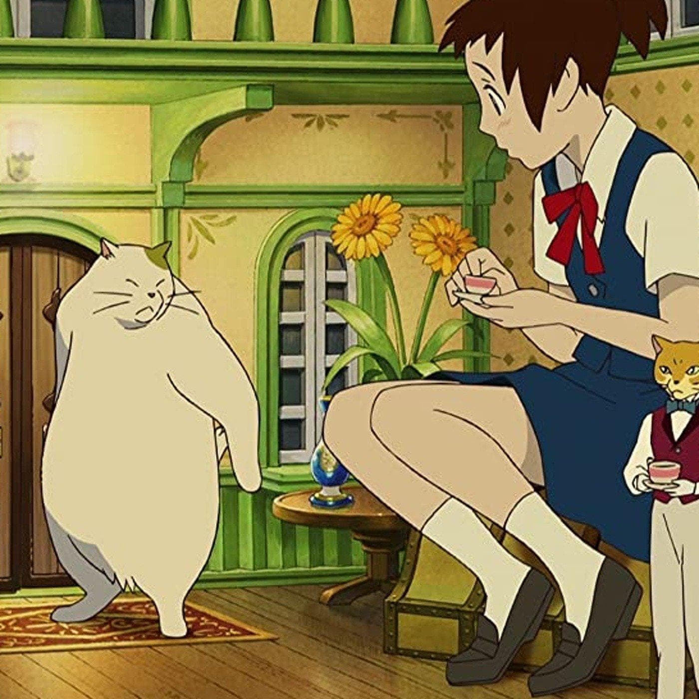 The 75+ Best Movies With Cat in the Title, Ranked