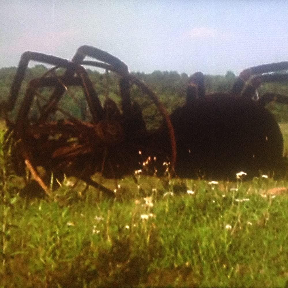 32 Scary Movies With Spiders, Ranked