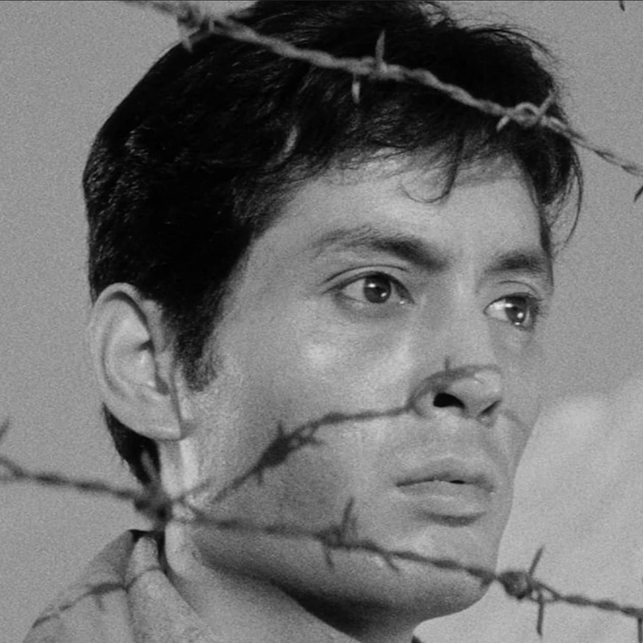 12 Controversial Japanese Movies That Shocked Global Audiences