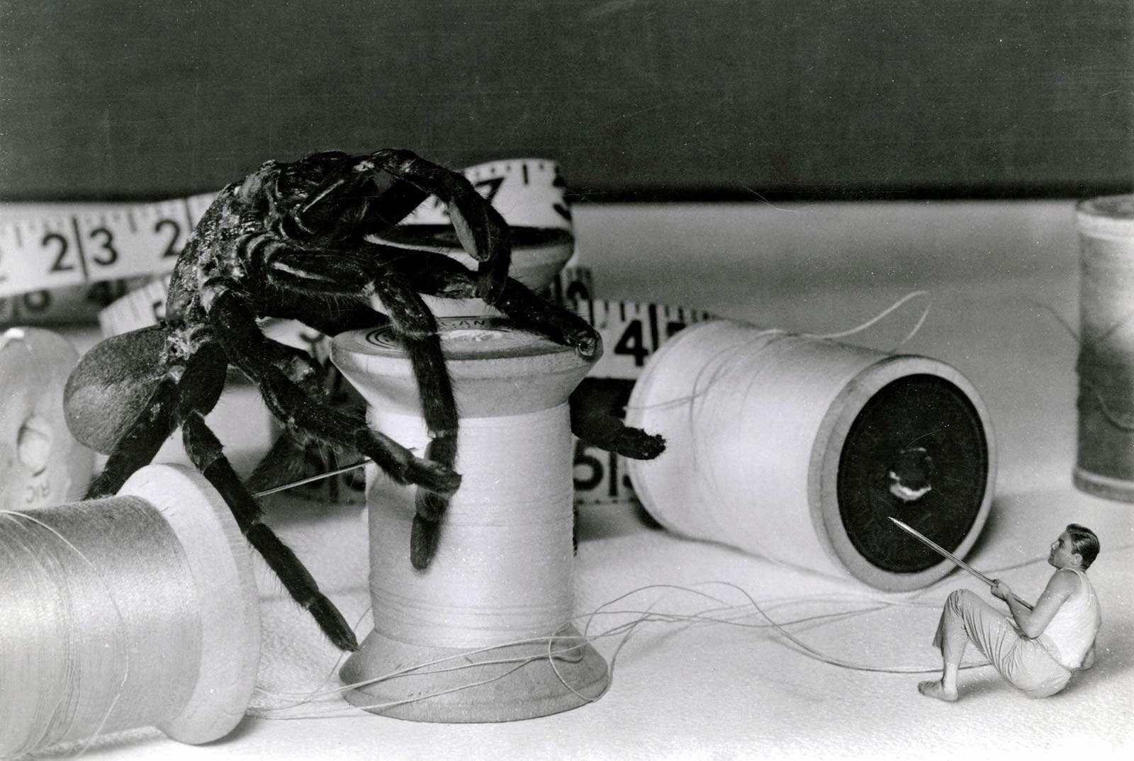 Terrifying Spider Scenes In Movies