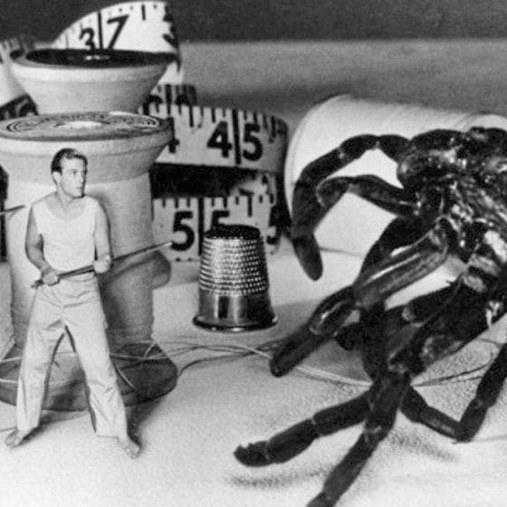 32 Scary Movies With Spiders, Ranked