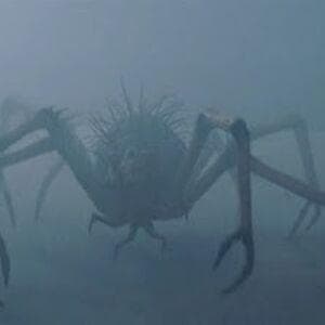 32 Scary Movies With Spiders, Ranked