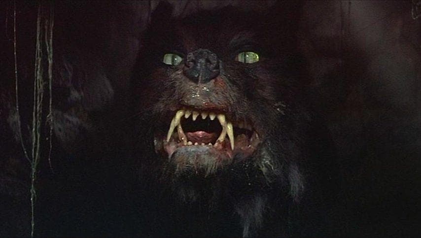 The Most Demonic Dogs From Movies, Ranked