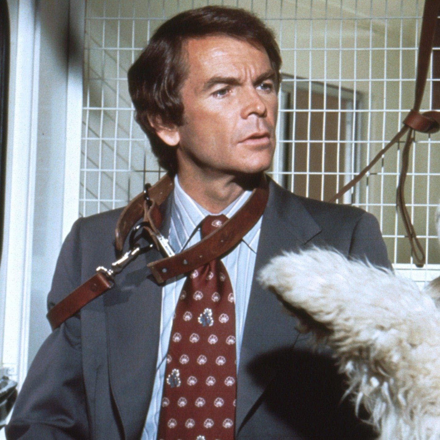 The 40+ Best Movies About Talking Dogs, Ranked By Fans