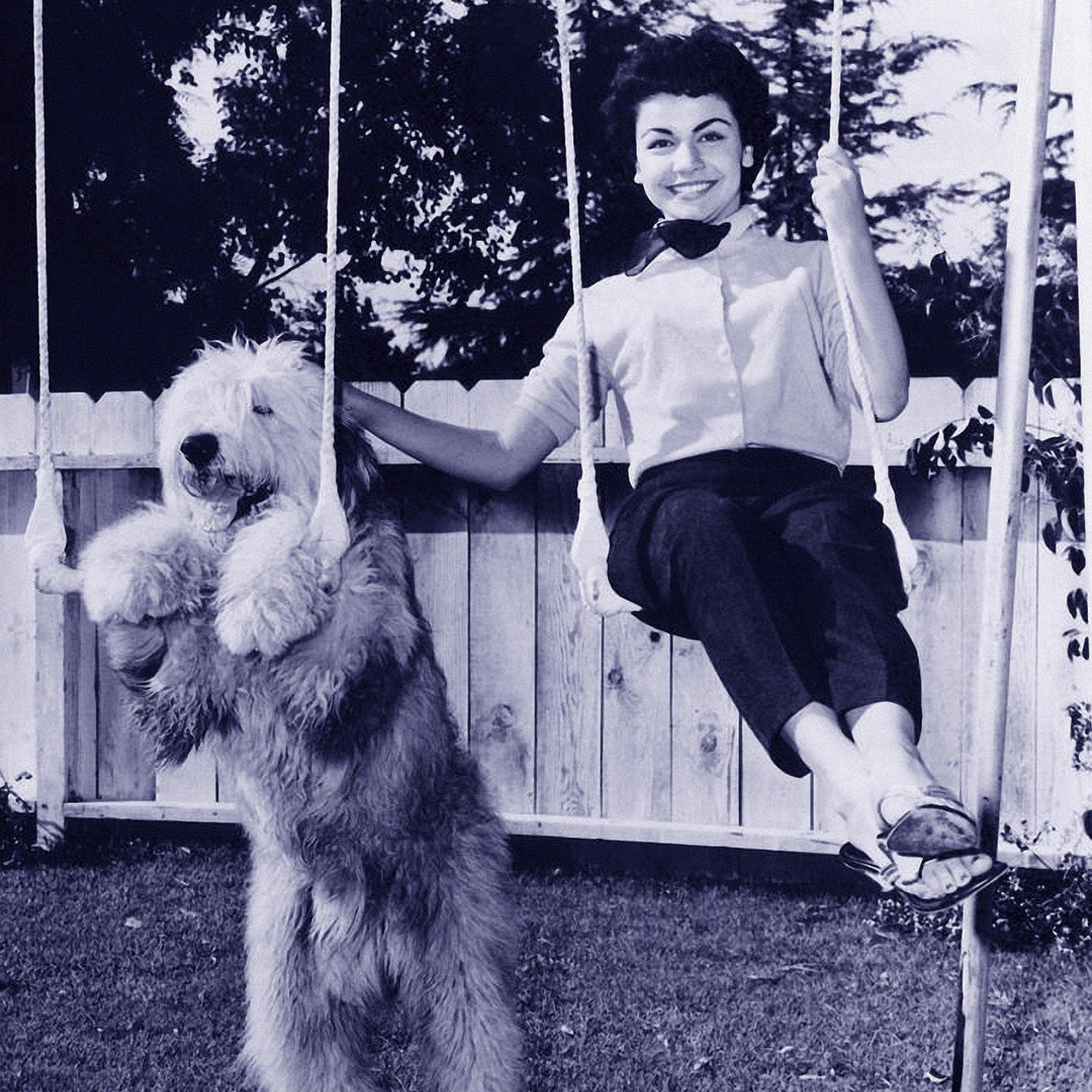 The 40+ Best Movies About Talking Dogs, Ranked By Fans