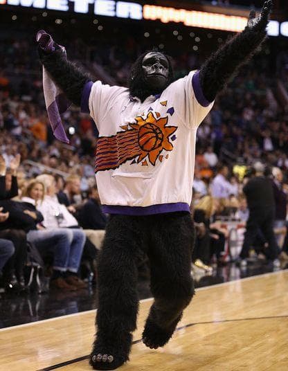 The 26 Best NBA Mascots Right Now, Ranked
