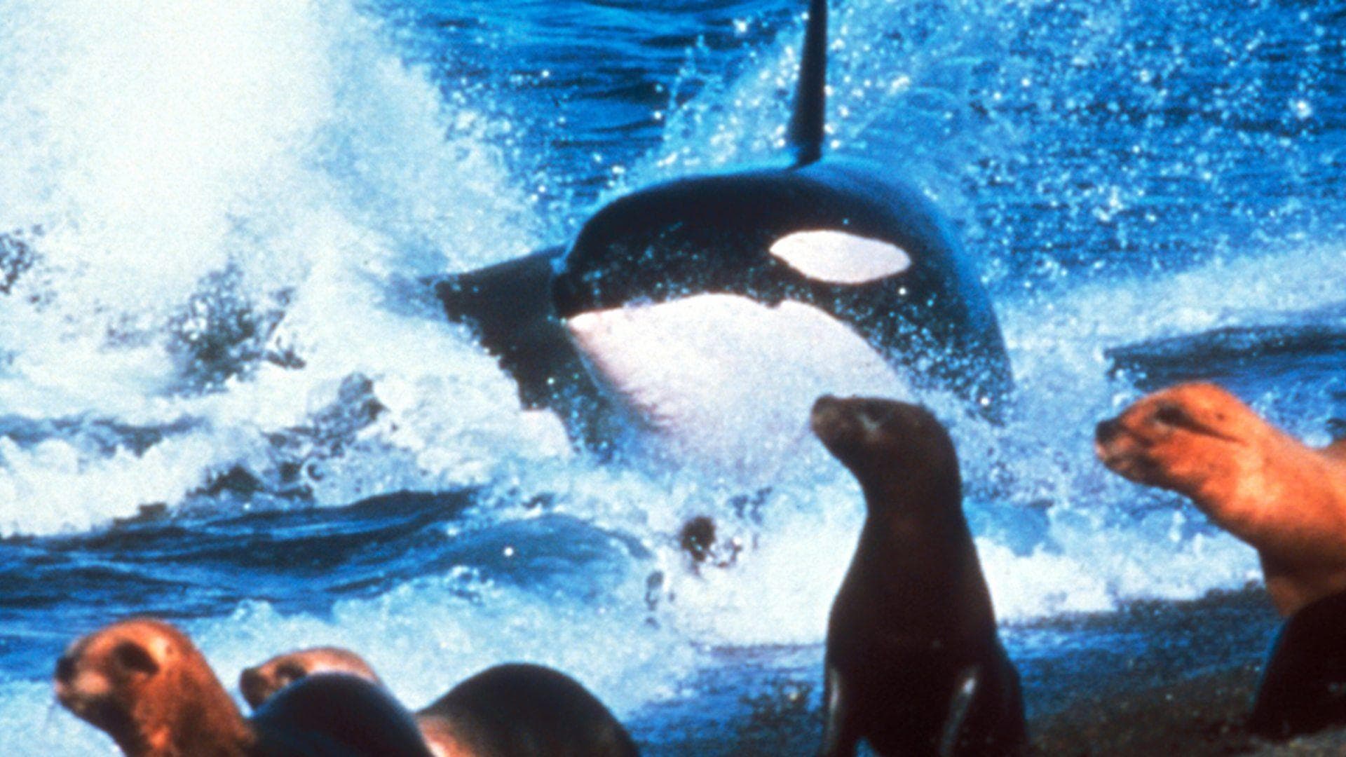 The 15 Best Documentaries With David Attenborough, Ranked