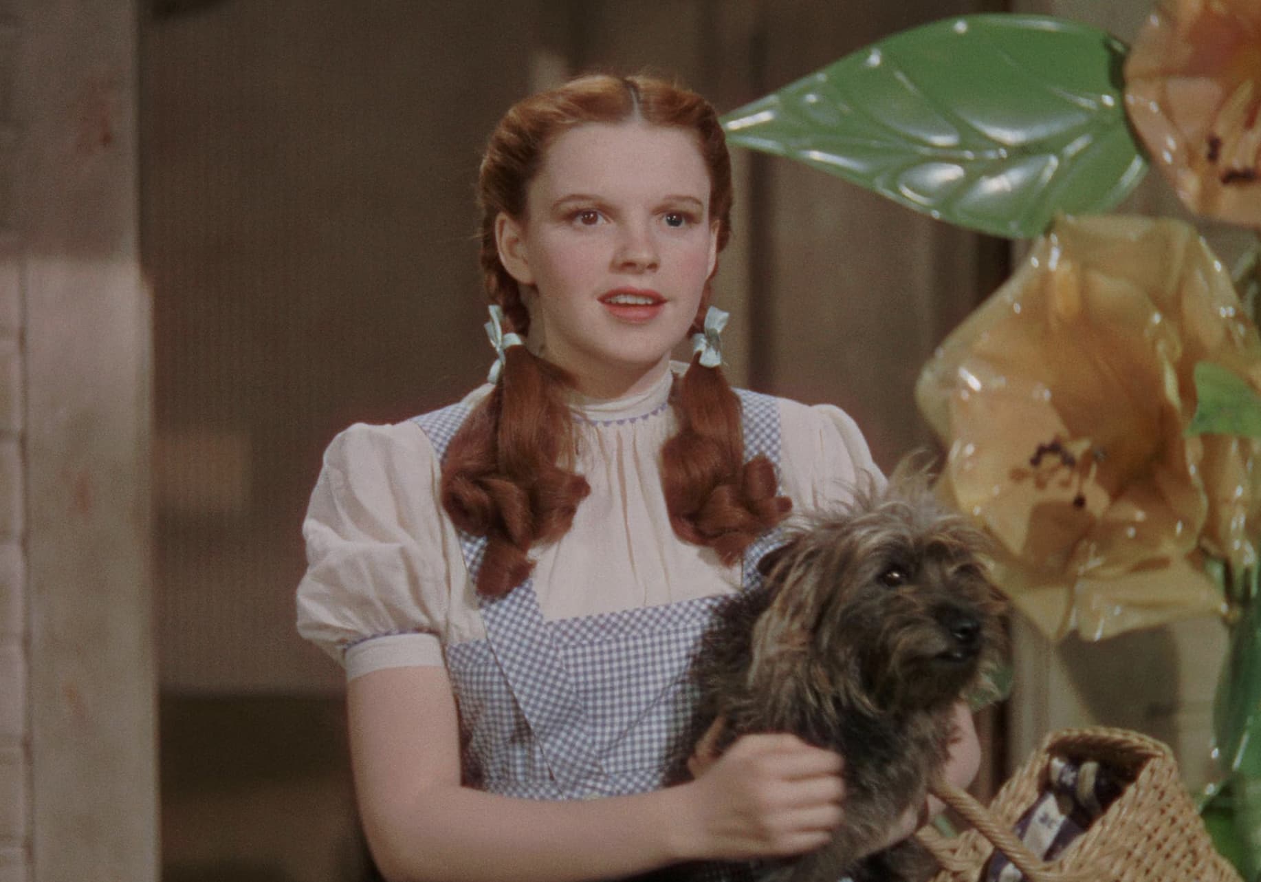 The 14 Best Hero's Journey Movies, Ranked