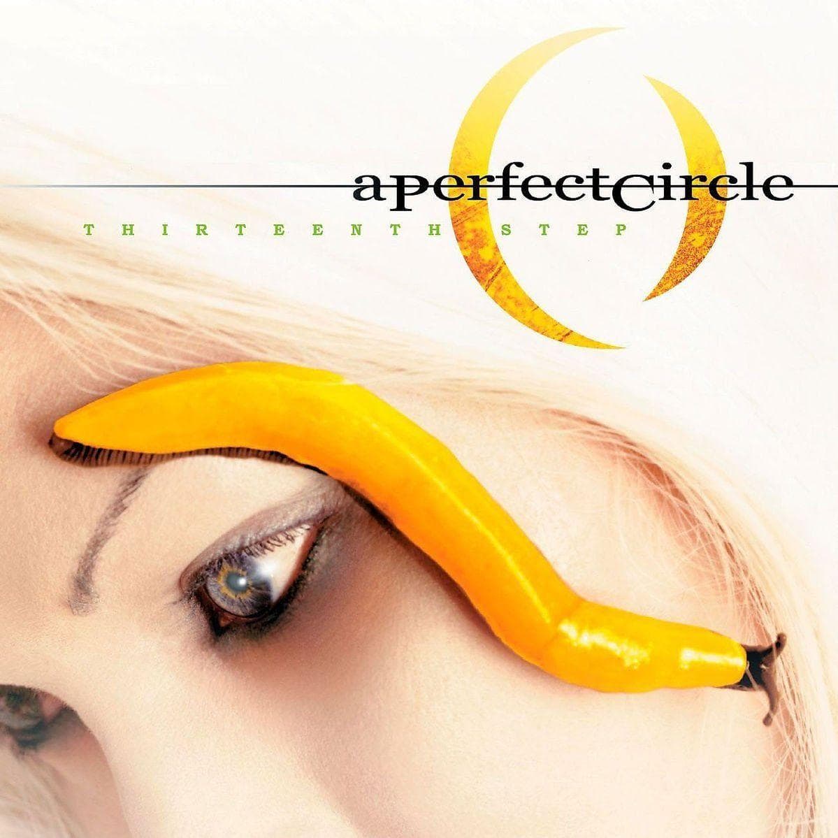The Best A Perfect Circle Albums, Ranked By Hard Rock Fans
