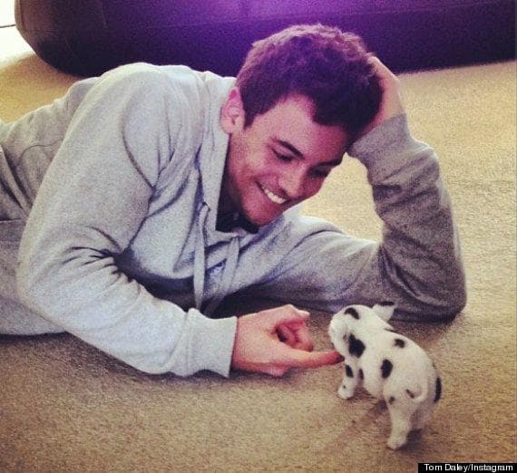Celebrities Who Have Pet Pigs | Famous People With Pet Pigs